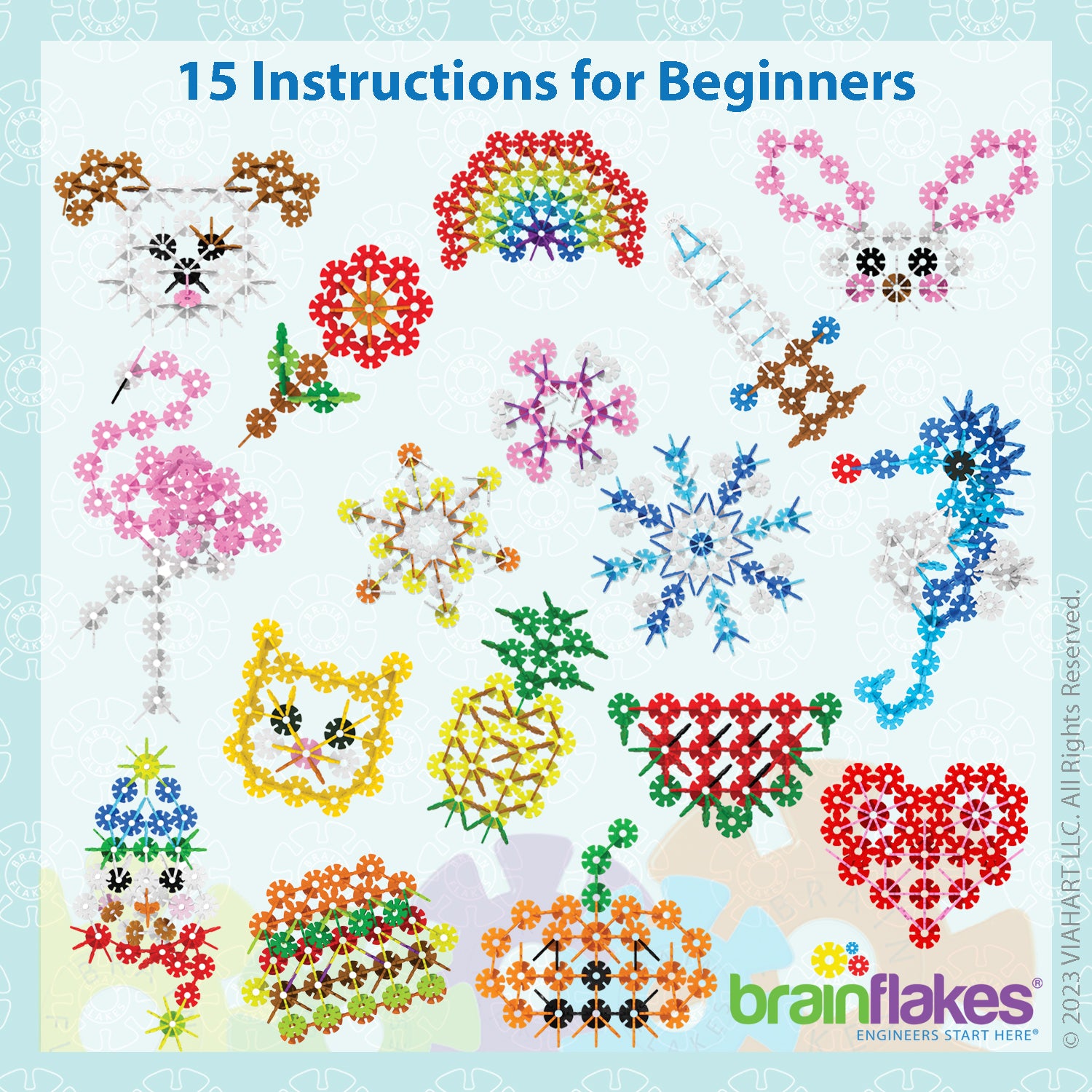 All brain flakes store