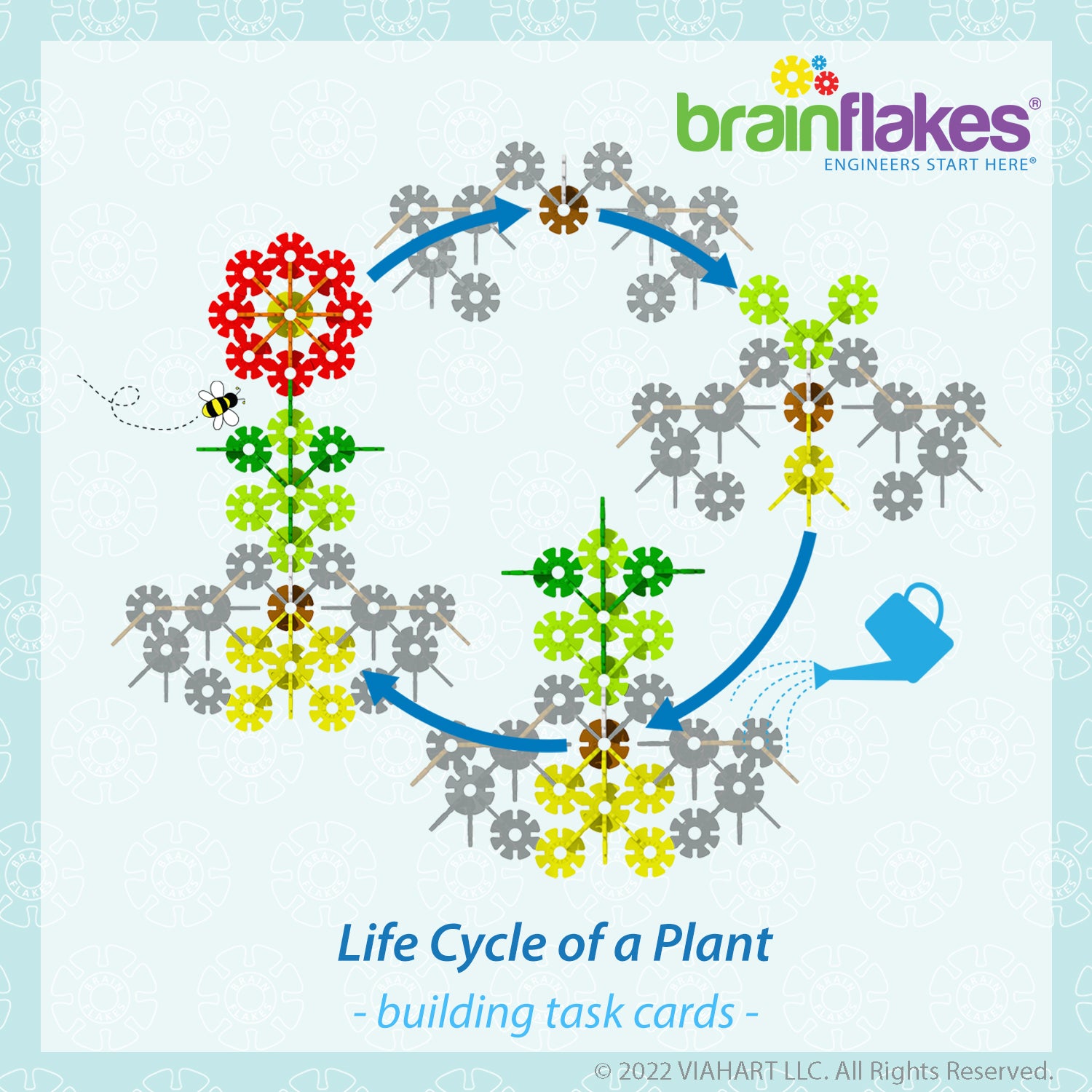 Plant Life Cycle Task Cards – Brain Flakes