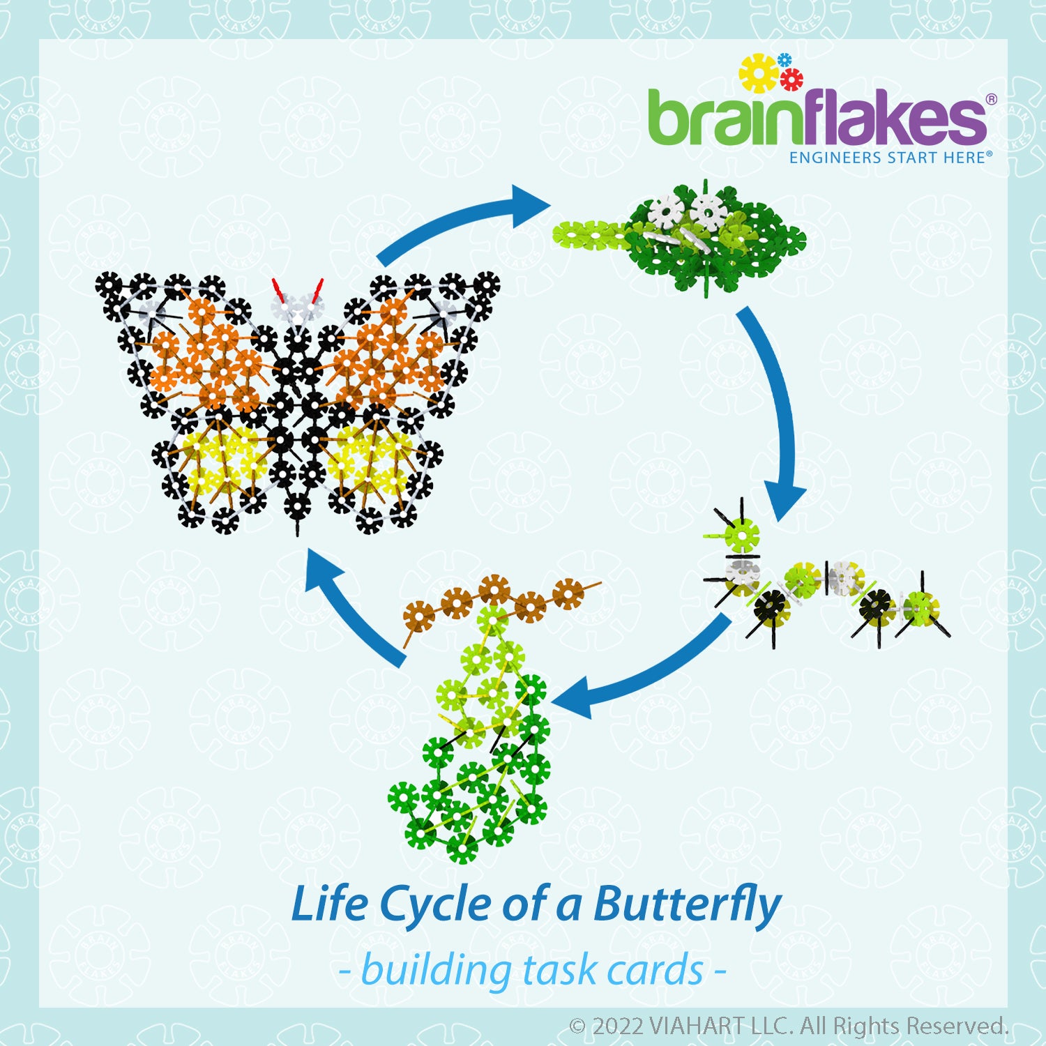 Butterfly Life Cycle Task Cards – Brain Flakes